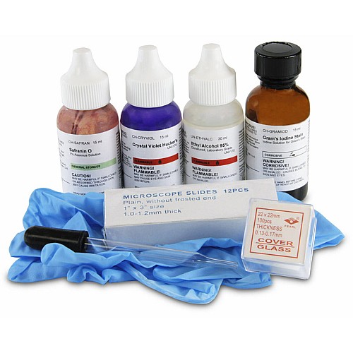 Gram Stain Kit