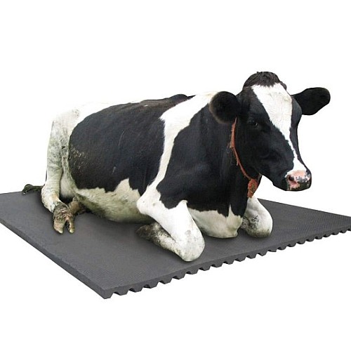Cow Mat