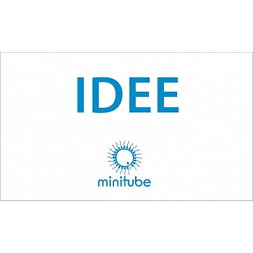 IDEE System
